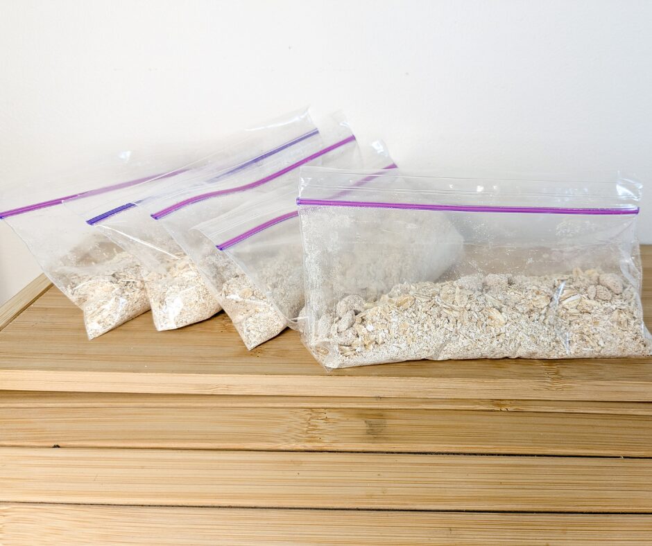 Easy Instant Oatmeal Packets (With Rolled Oats)